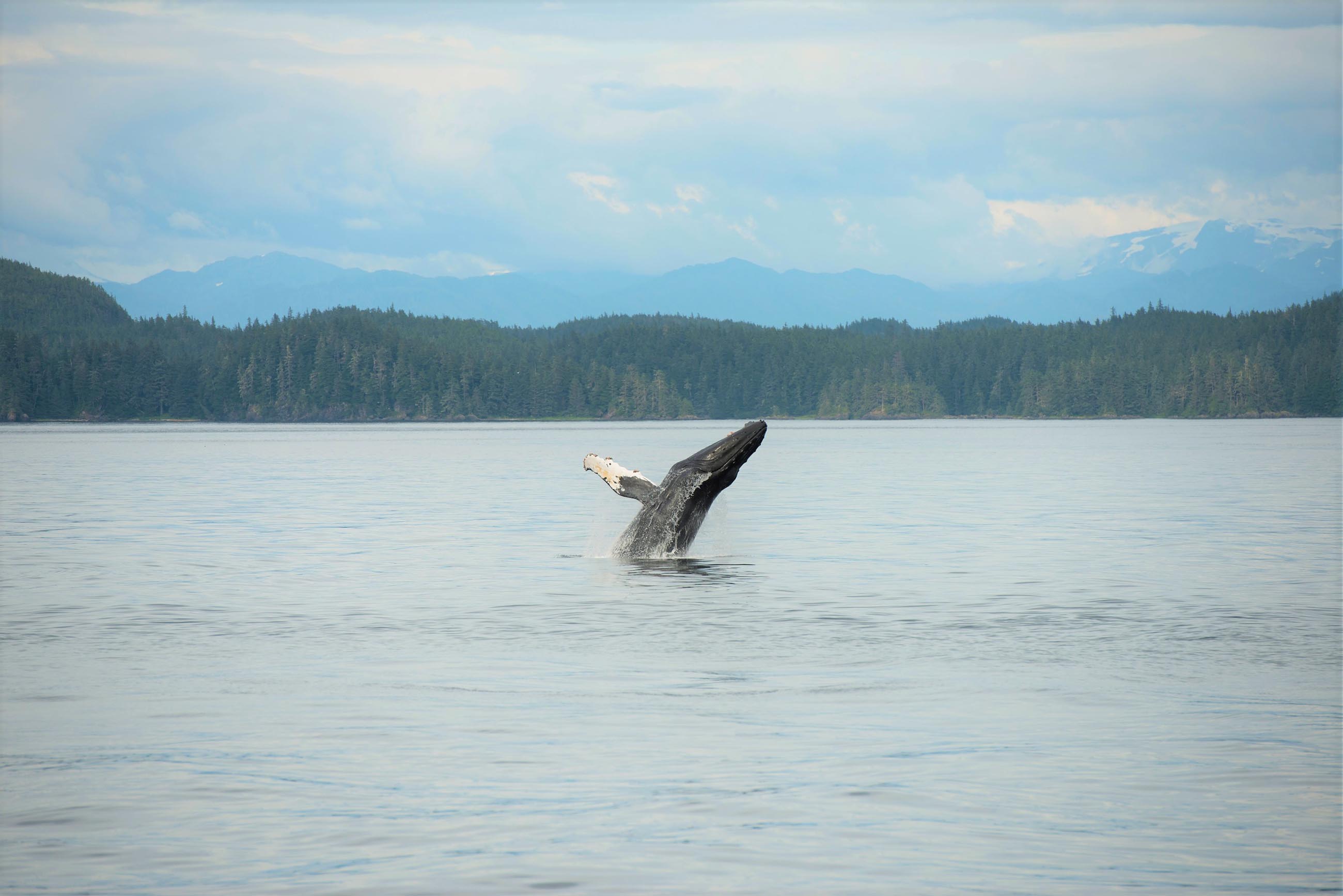 Kake, AK | Things to Do, Recreation, & Travel Information | Travel Alaska