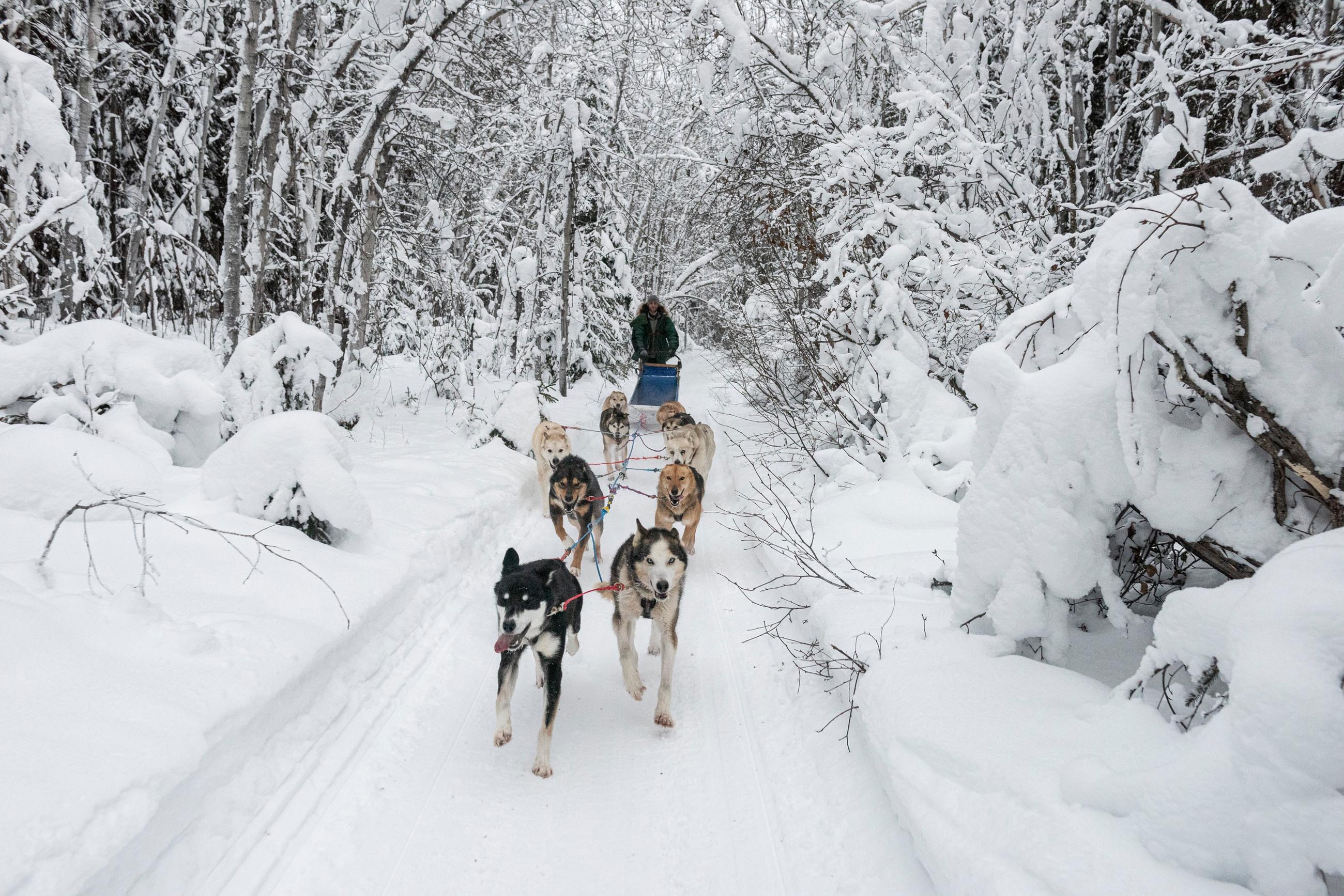 Manley Hot Springs, AK | Things to Do, Recreation, & Travel Information ...