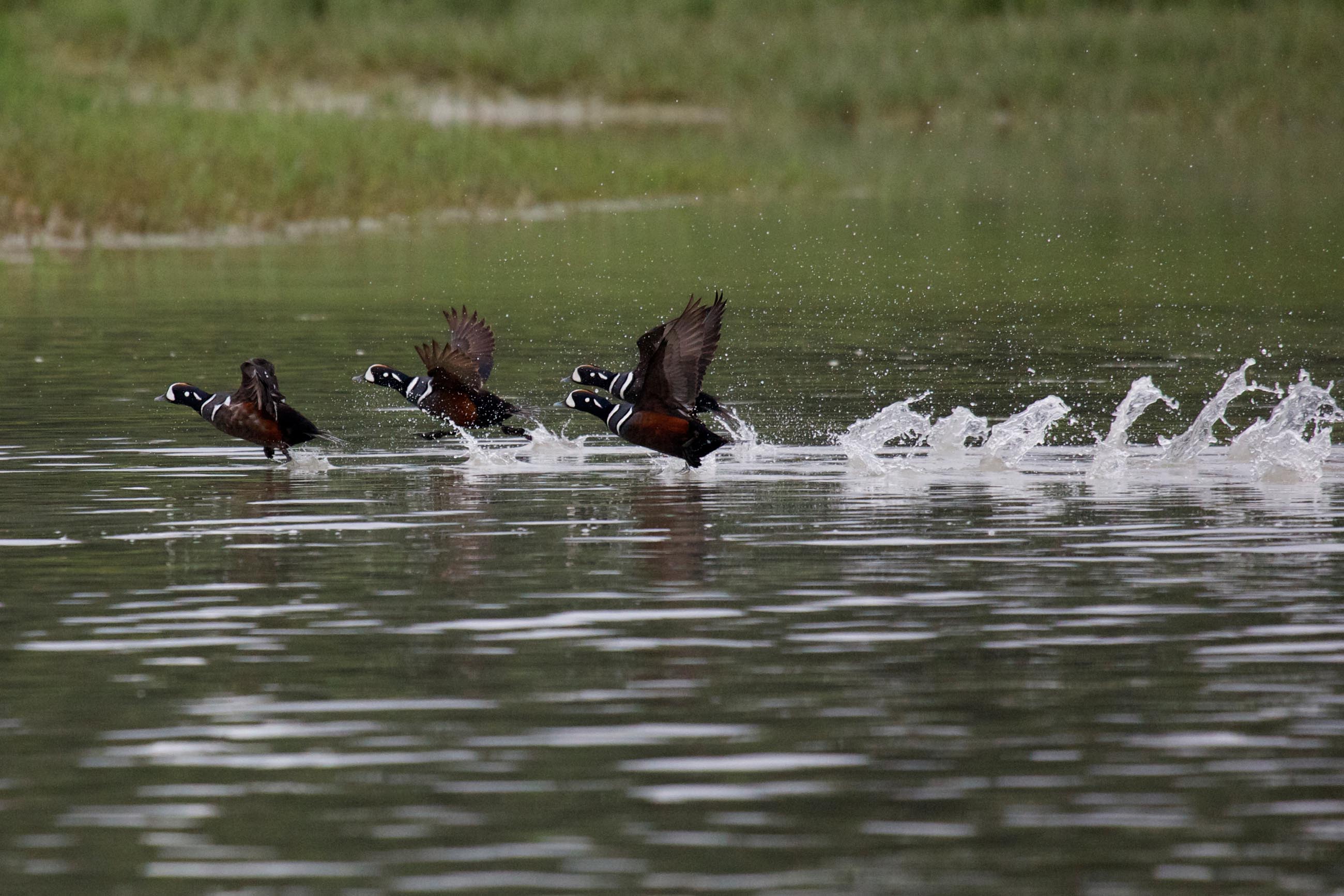 Innoko National Wildlife Refuge, Alaska | Travel Alaska