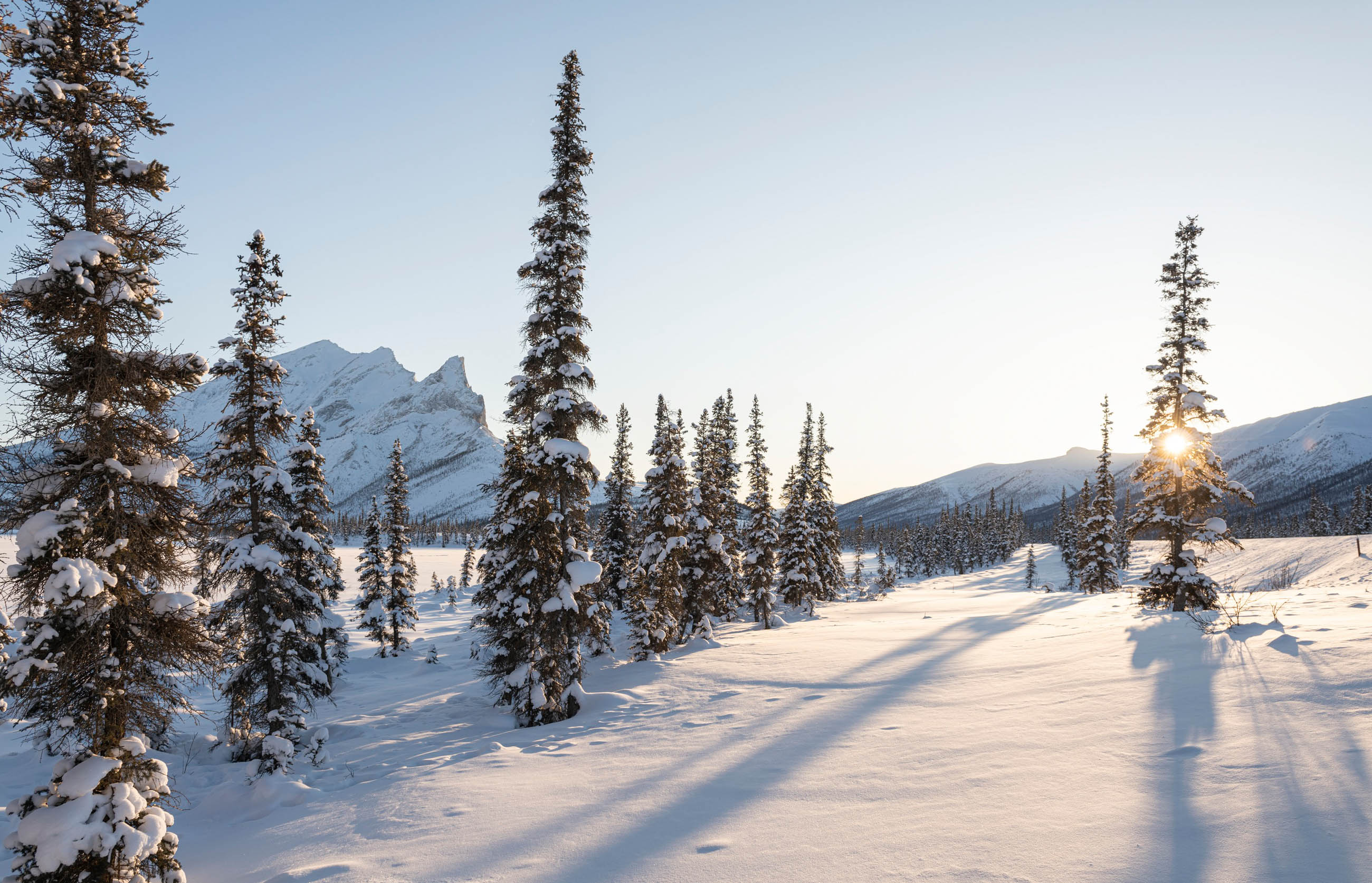 Alaska's Arctic Region | Travel Alaska