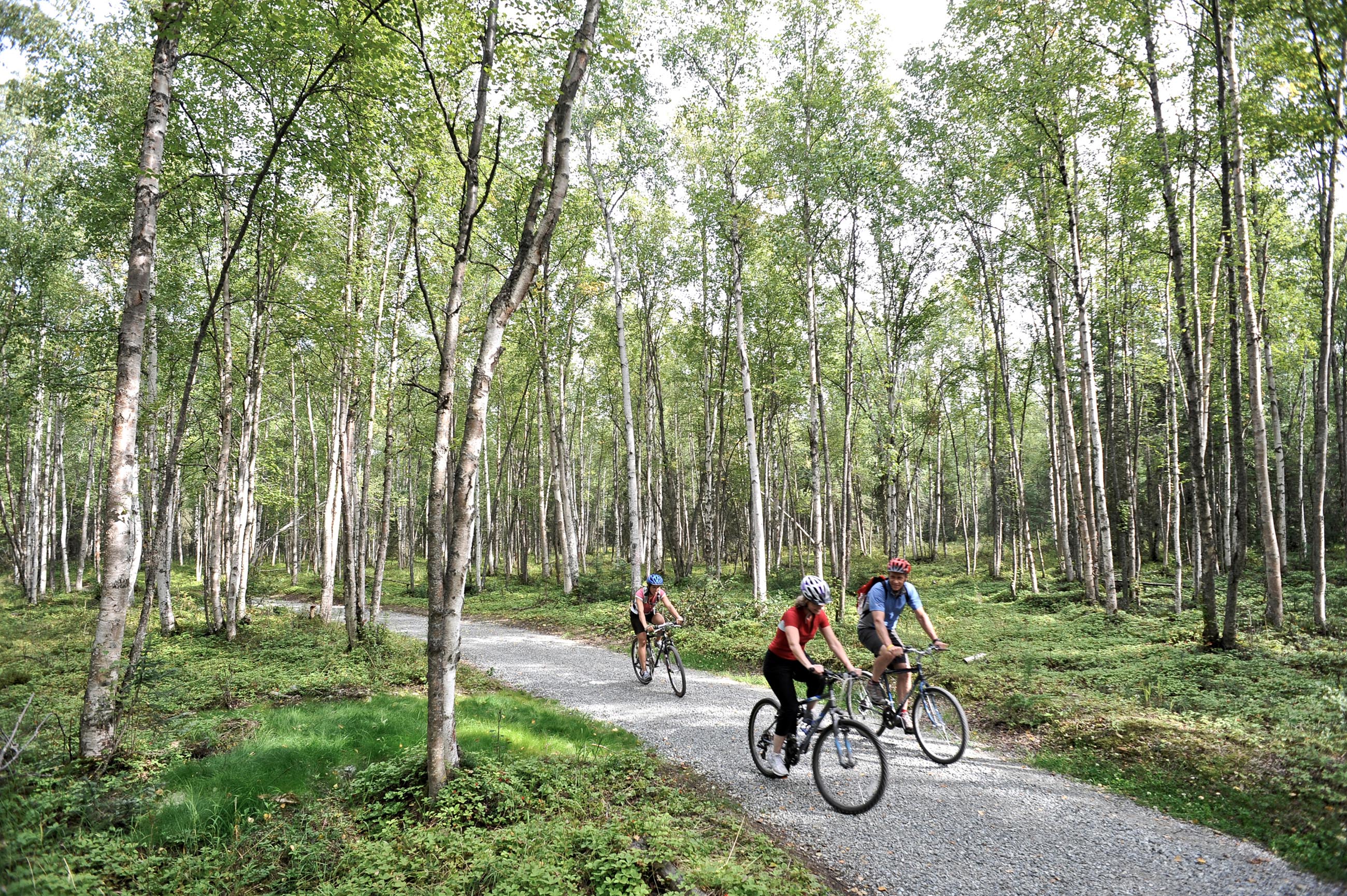 A Local's Guide to Anchorage Trails | Travel Alaska