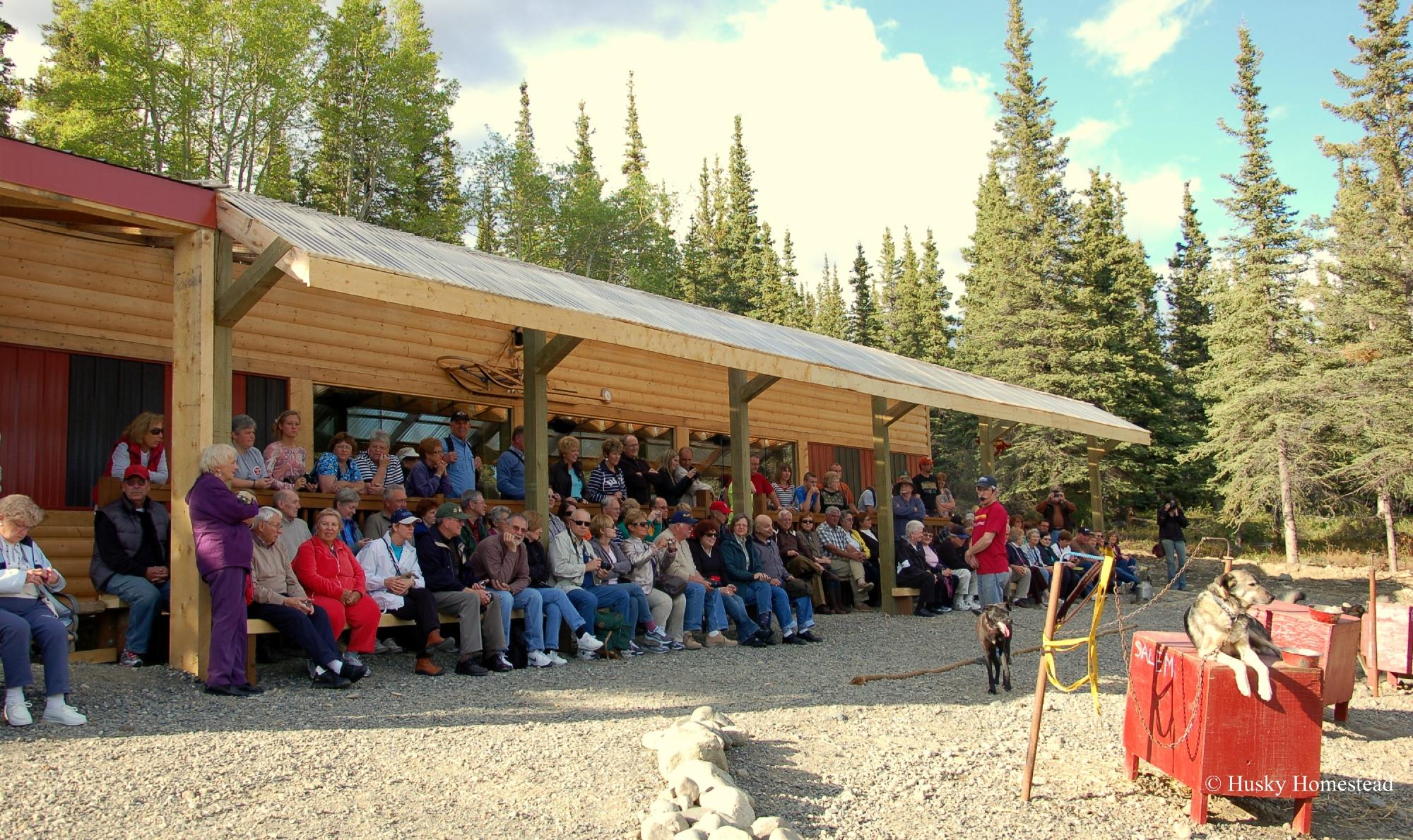 Husky Homestead Tour | Travel Alaska