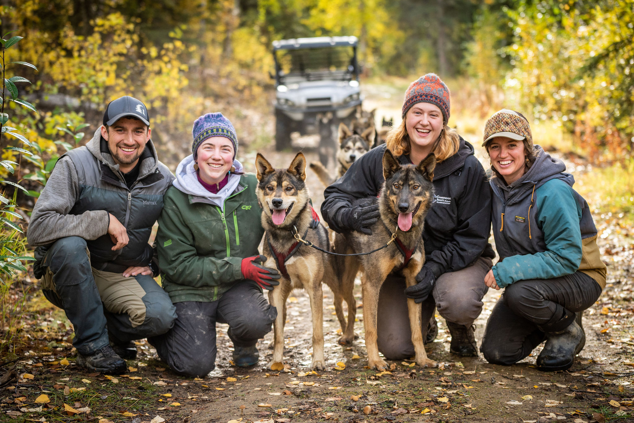 Black Spruce Dog Sledding | Travel Alaska