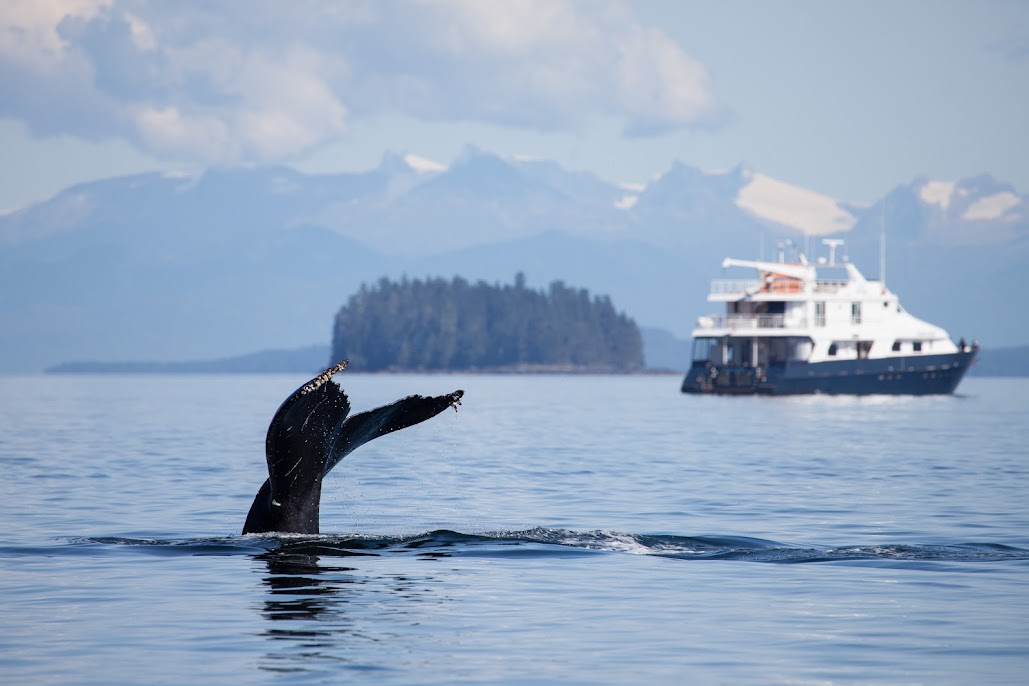 Gondwana Ecotours | Travel Alaska