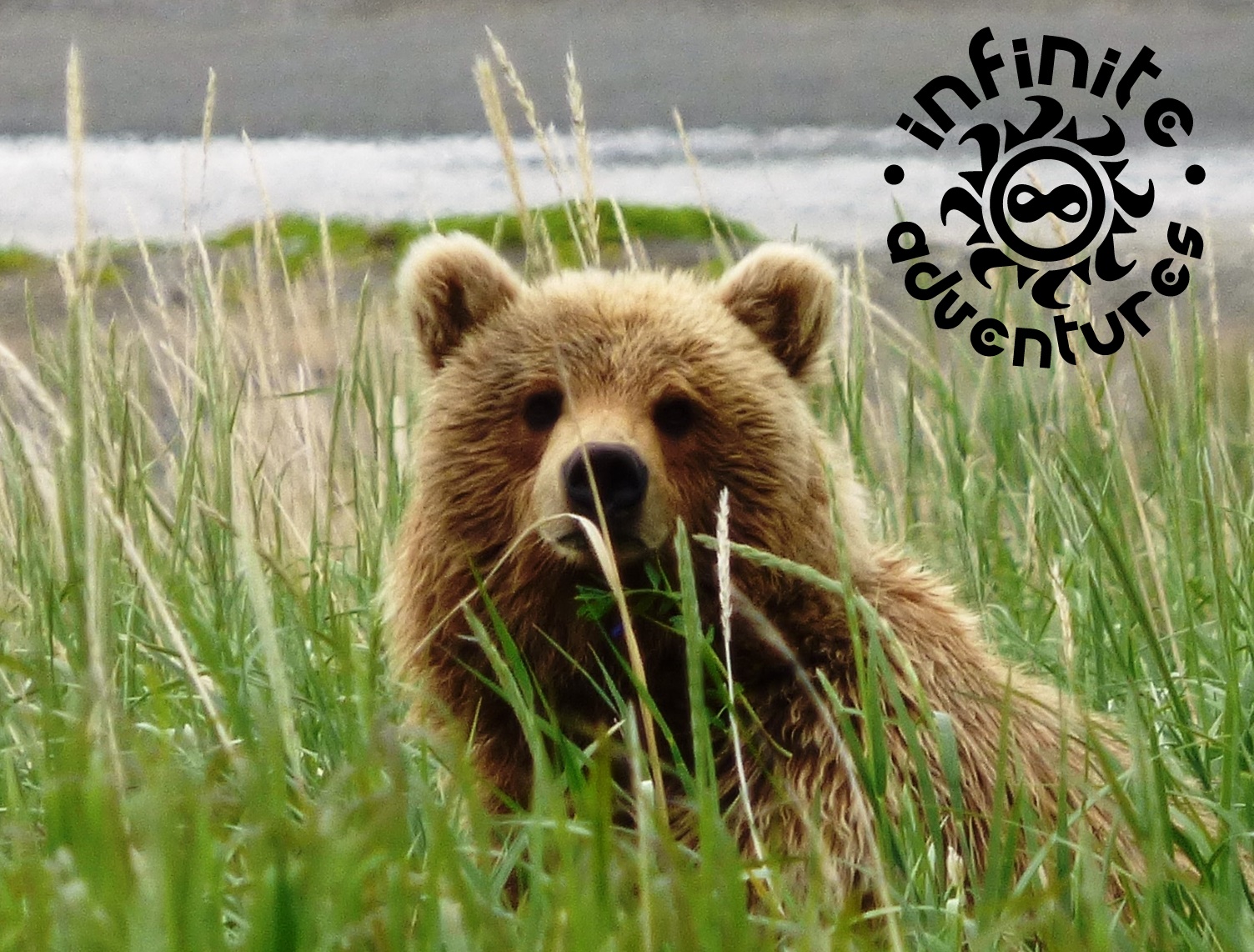 Infinite Adventures | Travel Alaska