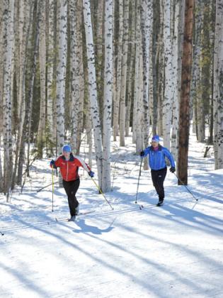 Winter Activities in Alaska | Travel Alaska