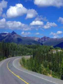 Wildlife Viewing | Travel Alaska