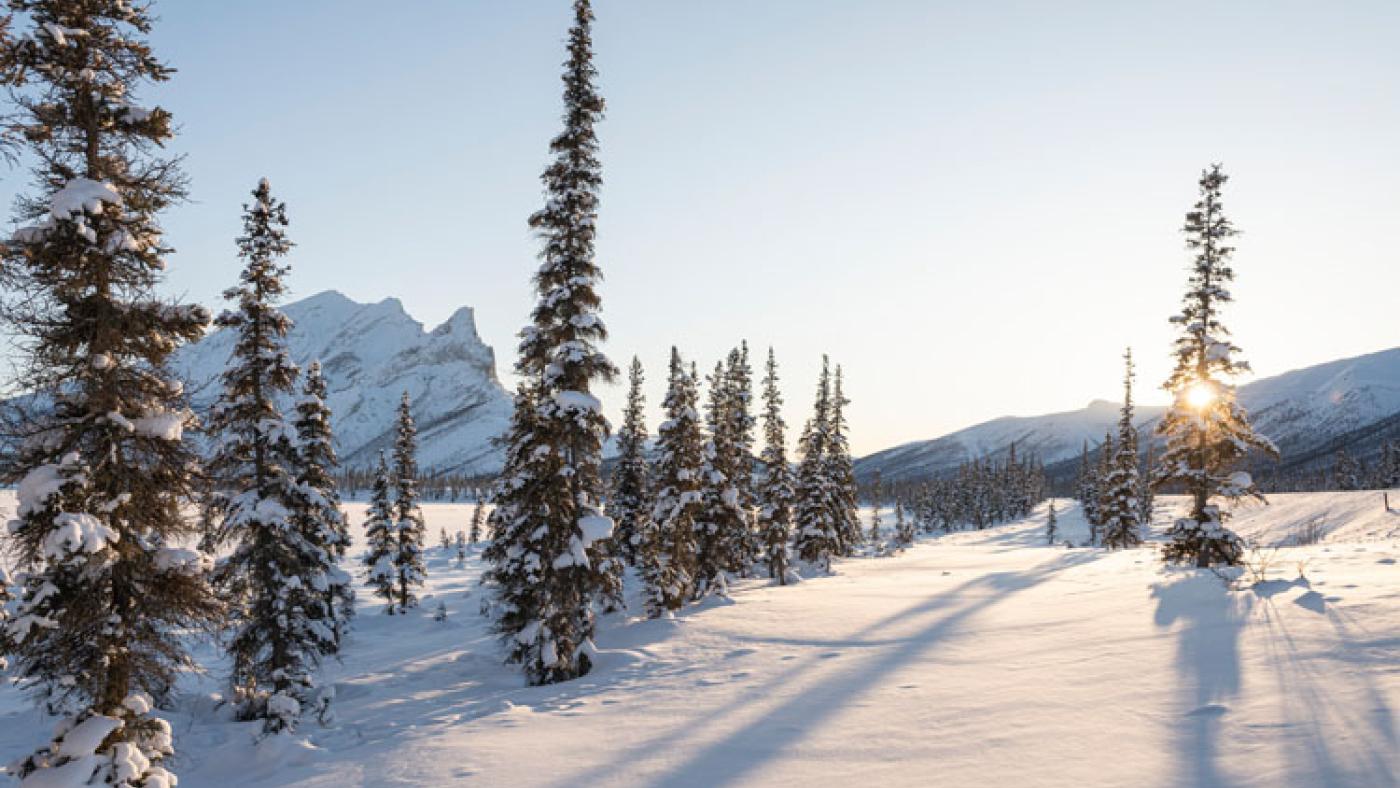 Alaska's Arctic Region | Travel Alaska