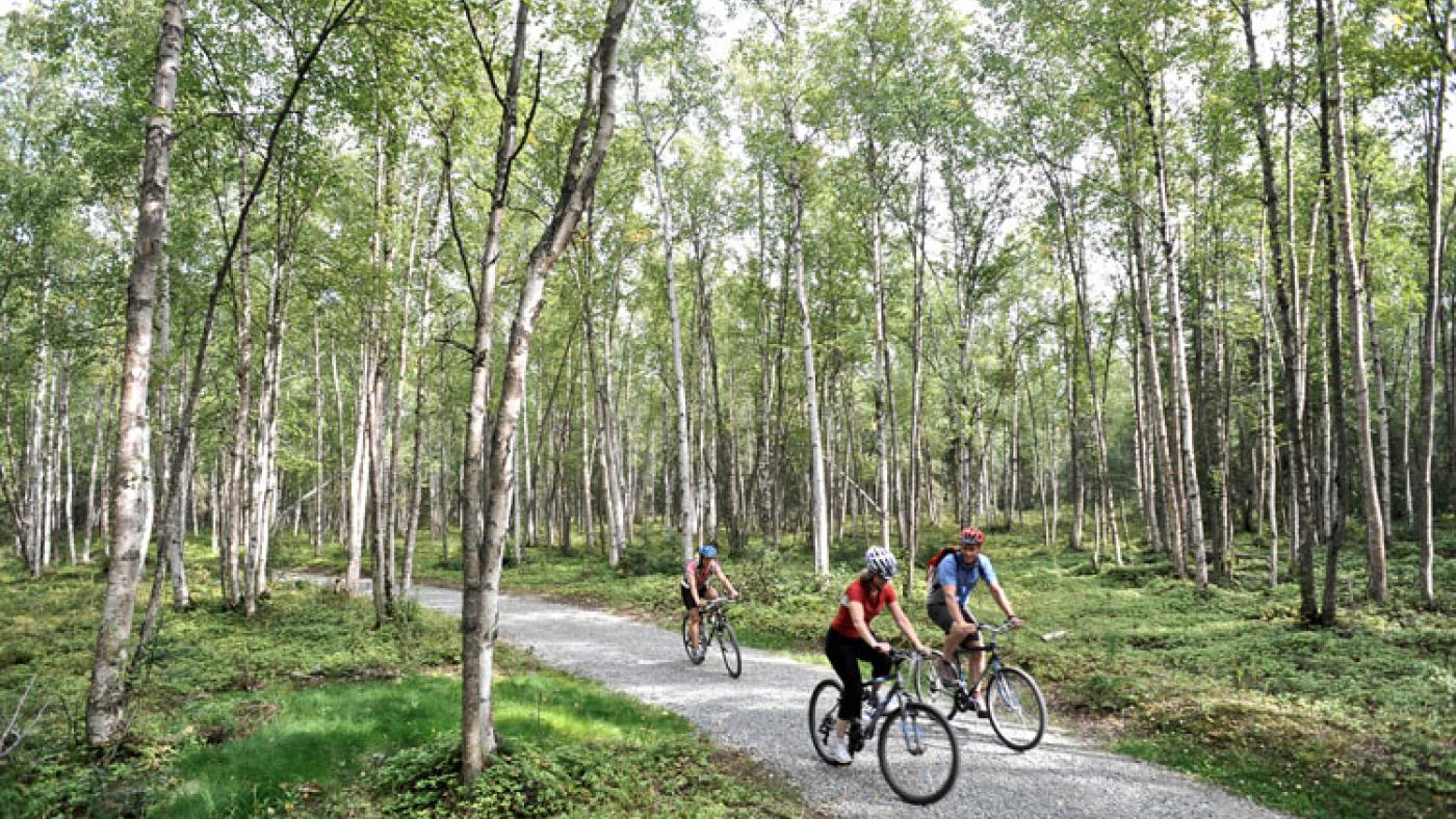 A Local's Guide to Anchorage Trails | Travel Alaska
