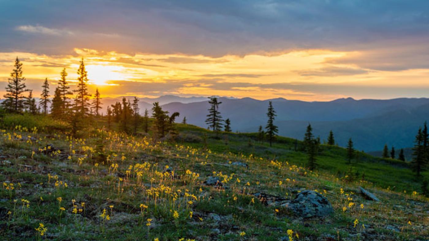 Explore Fairbanks Virtually | Travel Alaska