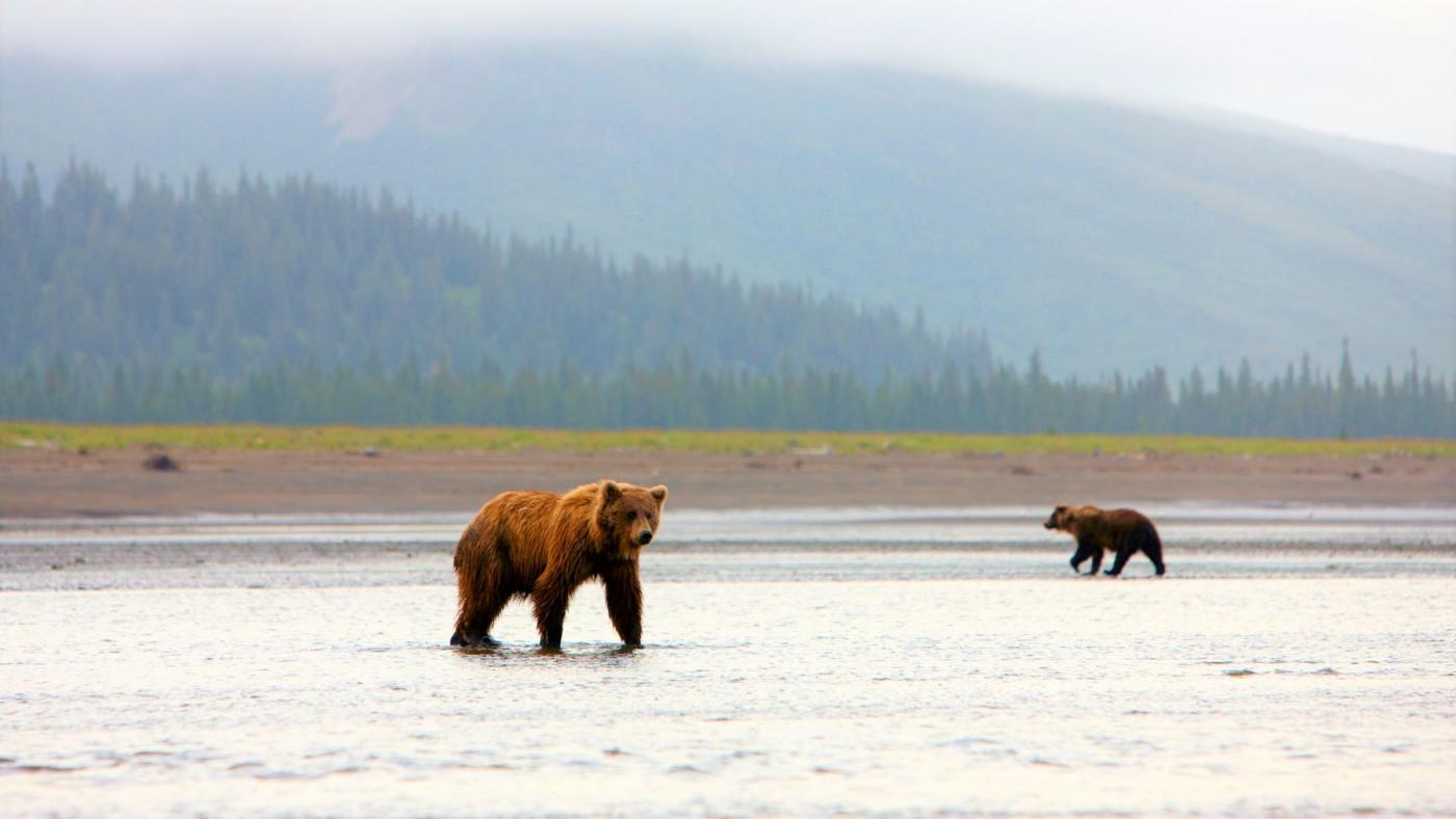 Lake Clark National Park and Preserve, Alaska | Travel Alaska
