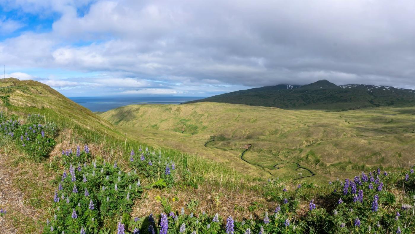 Adak, AK | Things to Do, Recreation, & Travel Information | Travel Alaska