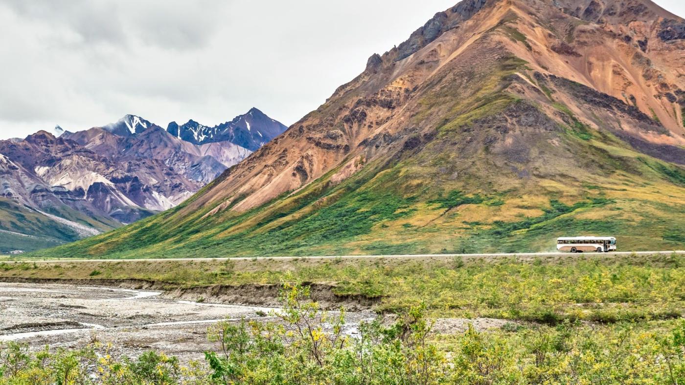 What You Need to Know about Denali Bus Tours | Travel Alaska