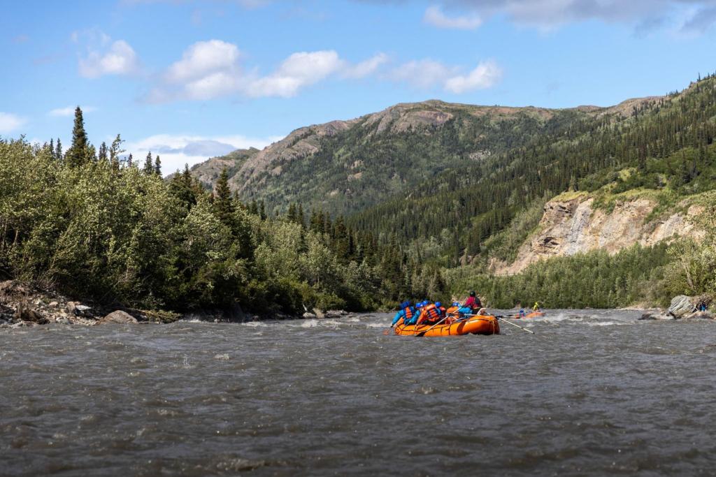 Things to Do near the Entrance to Denali National Park | Travel Alaska