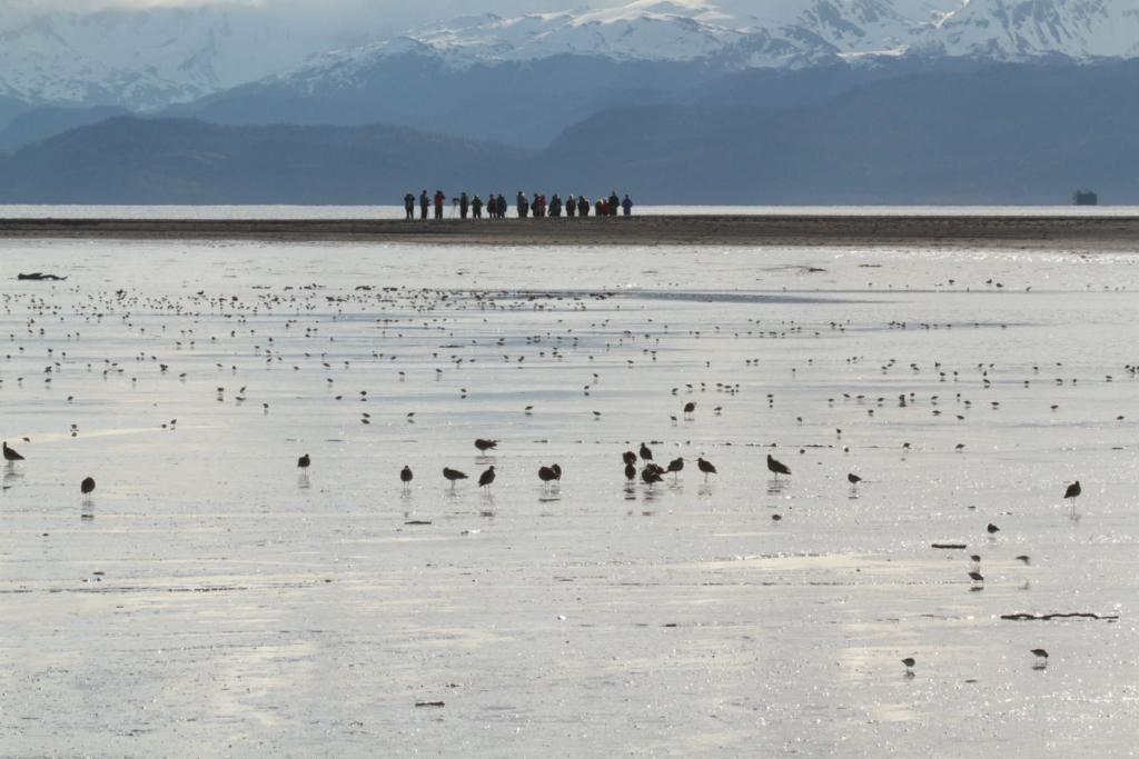 Add These Fun Winter & Spring Festivals to Your Alaska Itinerary ...